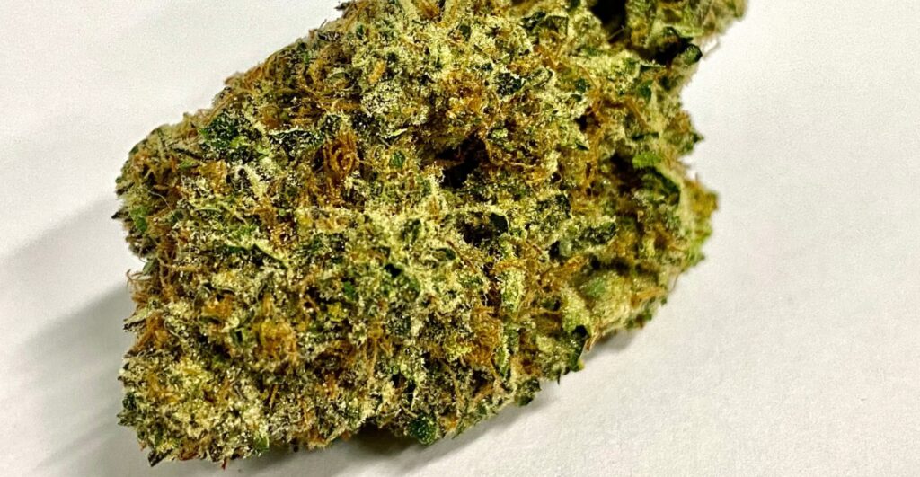 Dive into the Struggle: In-Depth 99 Problems Strain Analysis